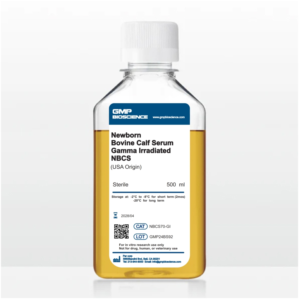 Newborn Bovine Calf Serum - GMP Bioscience